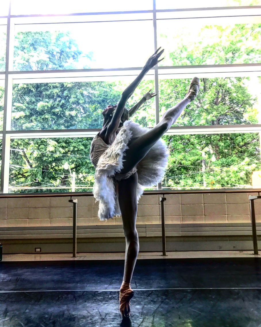 Adji Cissoko’s Summer as a Swan – LINESConnected