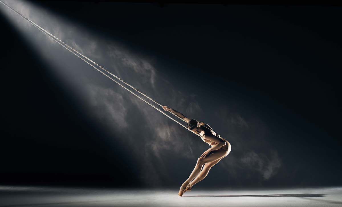 Meet the Artist: Meredith Webster – LINESConnected