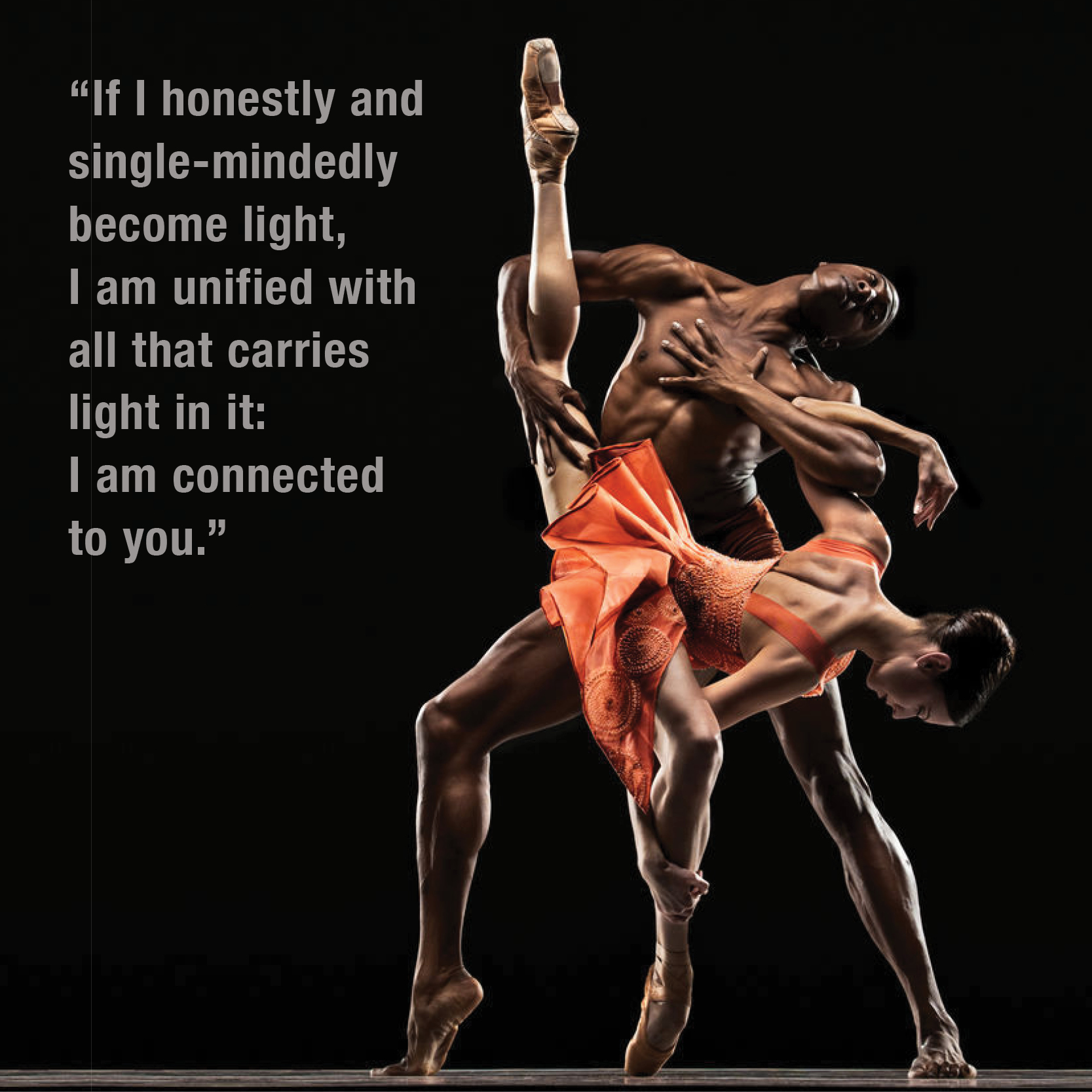 Meet the Artist: Meredith Webster – LINESConnected