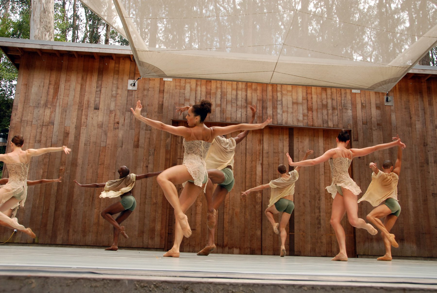 From the Archives: “Migration” at Stern Grove – LINESConnected