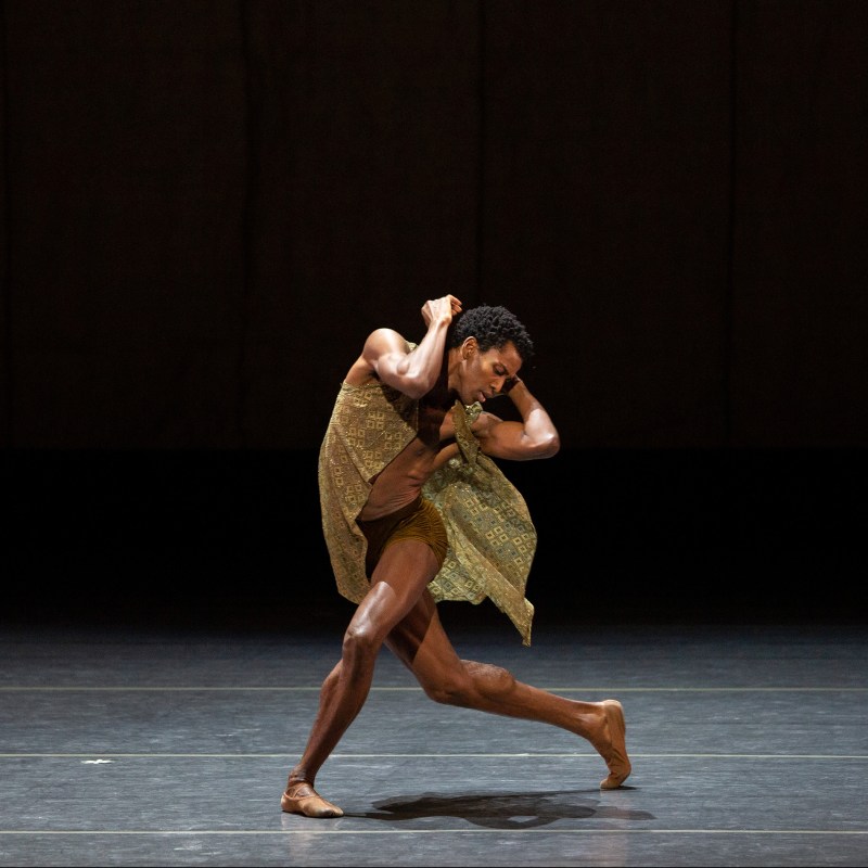 Interview with ABT Principal Dancer Skylar Brandt – LINESConnected